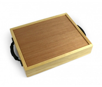 Therapeutic Sand Trays for Sandtray Therapy