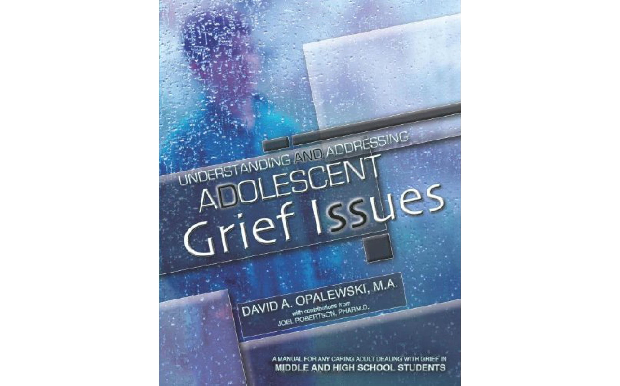 Understanding and Addressing Adolescent Grief Issues – Books