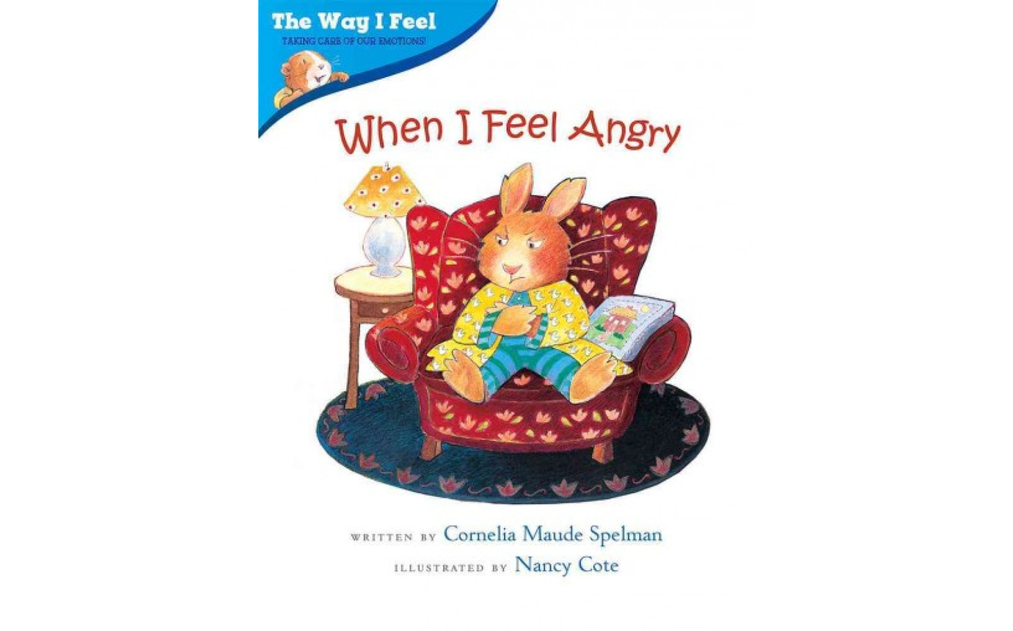 When I Feel Angry – Books