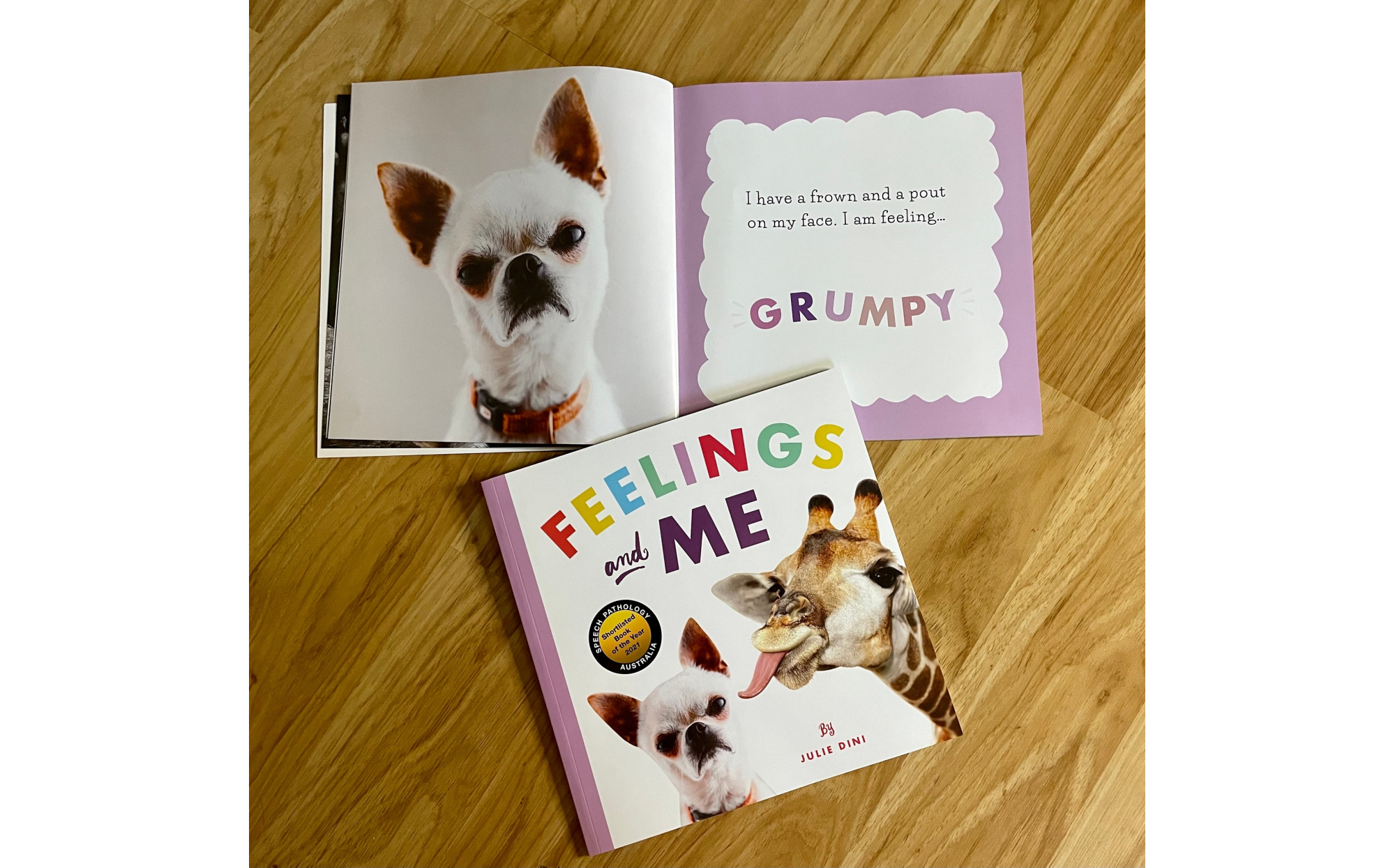 Feelings and Me Picture Book – Books