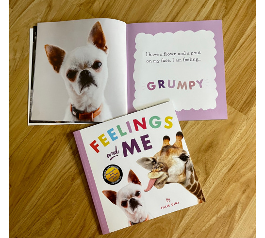 Feelings and Me Picture Book – Books