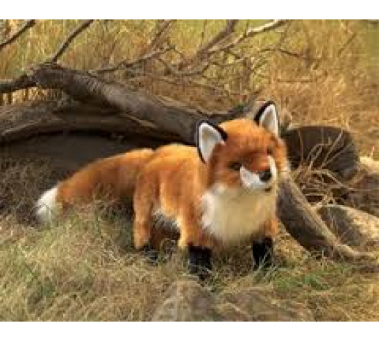 Red Fox Puppet – Puppets