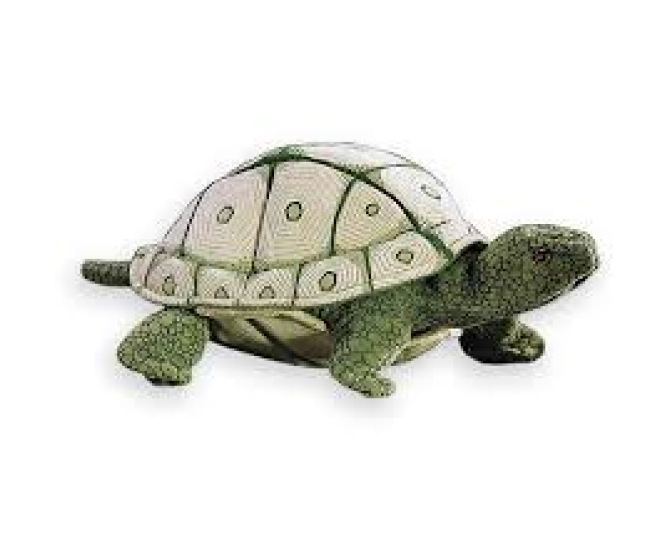 Tortoise Puppet – Puppets
